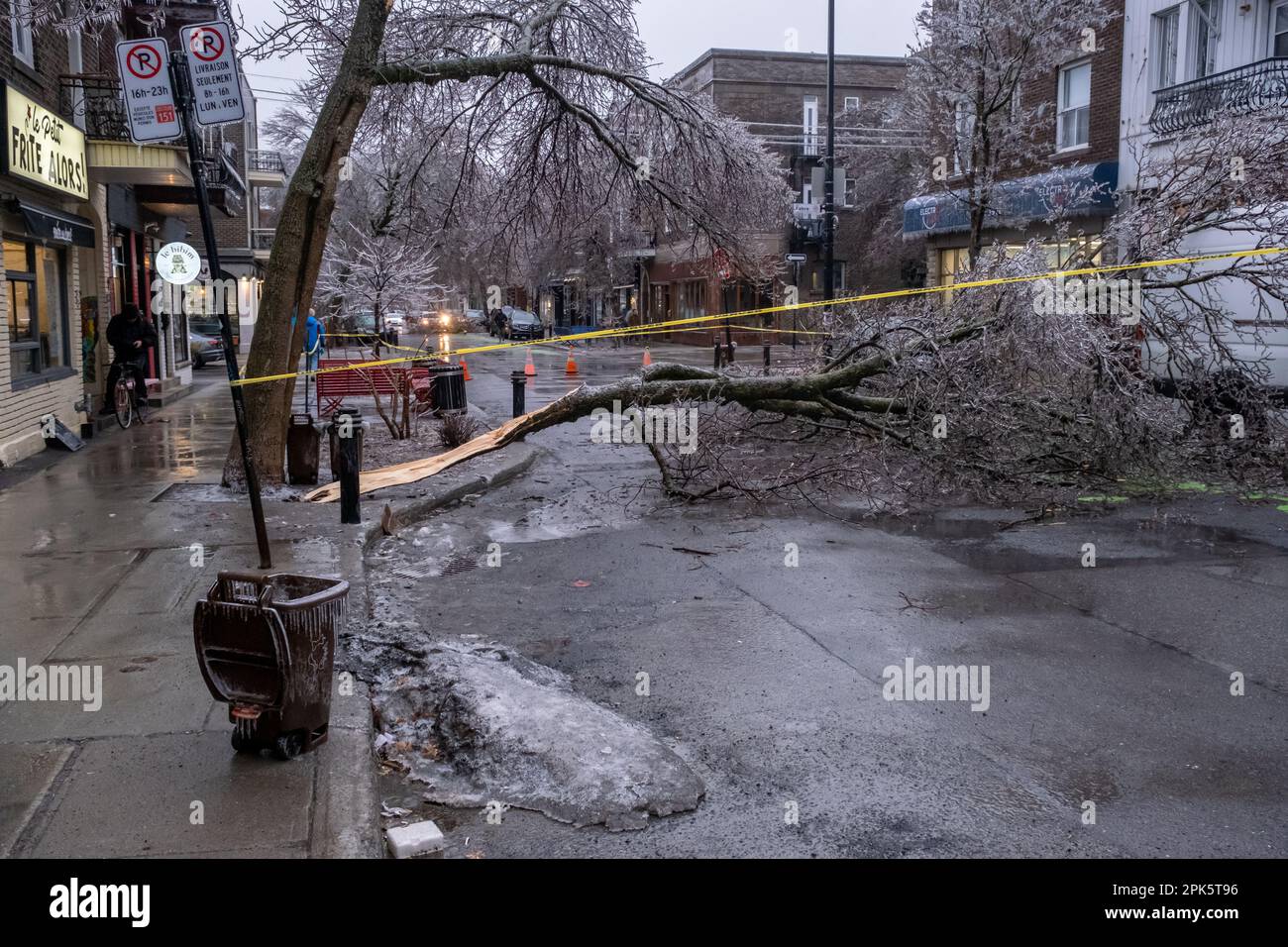 Montreal, CANADA - 5 April 2023: The freezing rain storm has damaged a ...