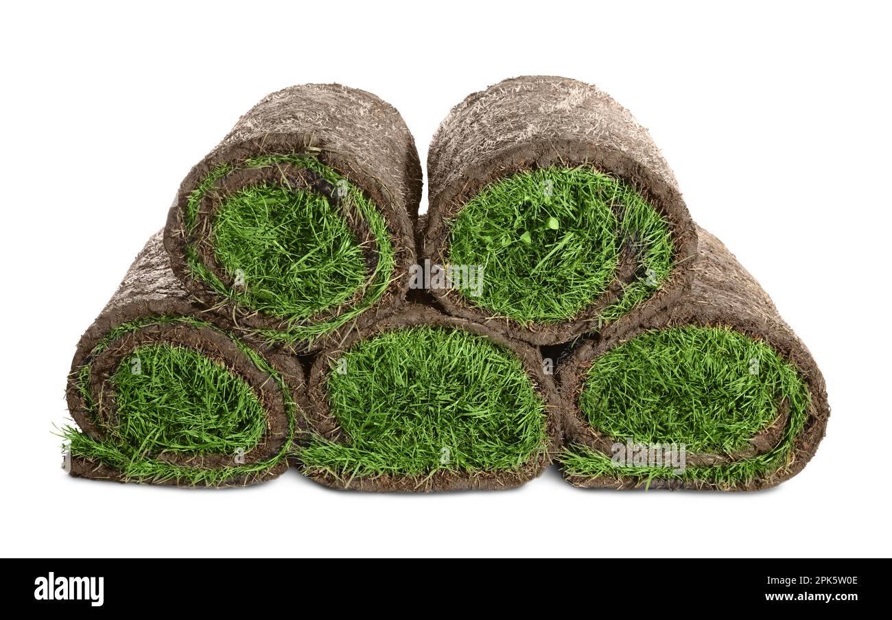 Rolls of grass sod on white background Stock Photo - Alamy
