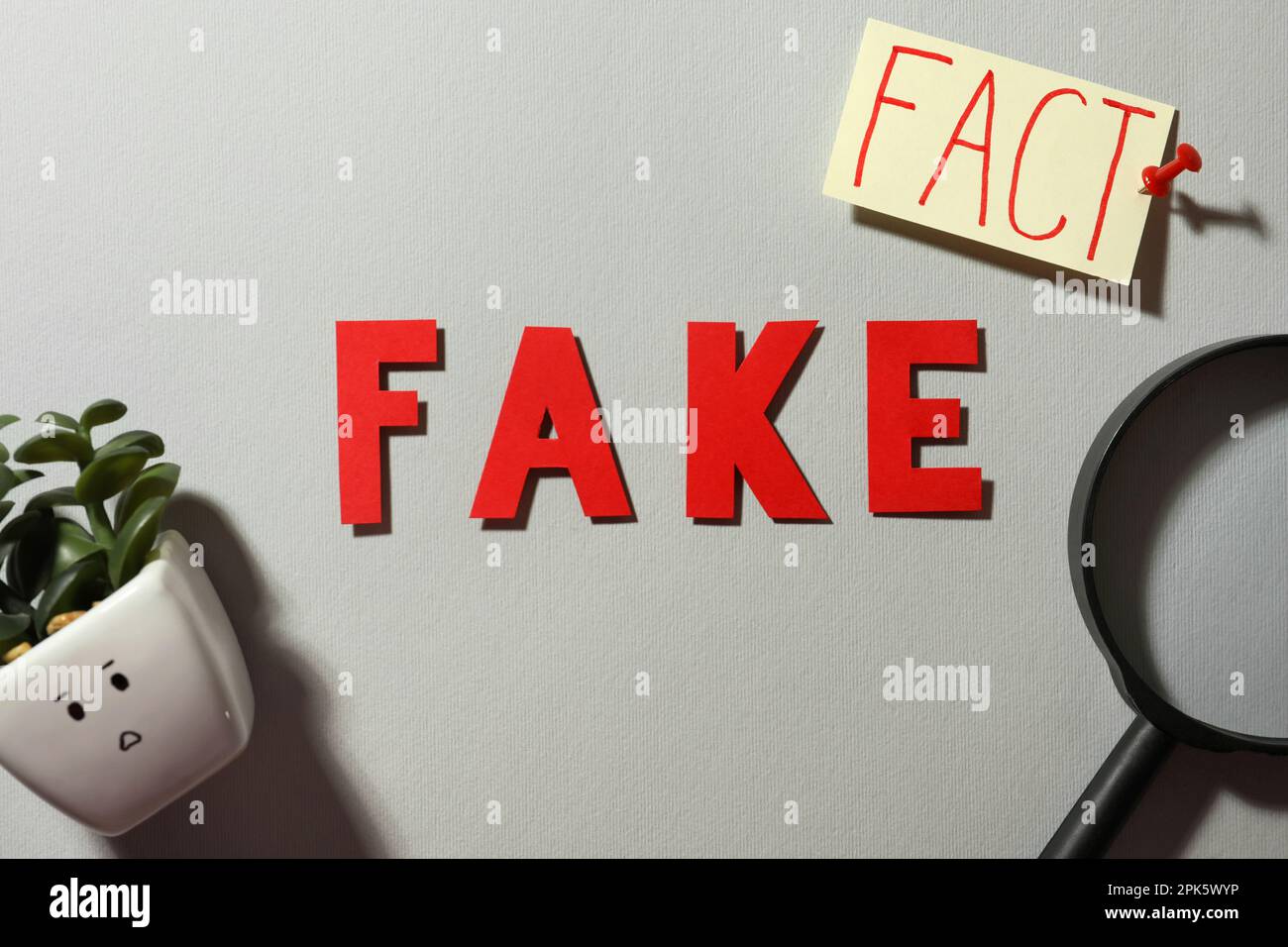 Flat lay composition with words Fake and Fact on grey background Stock ...