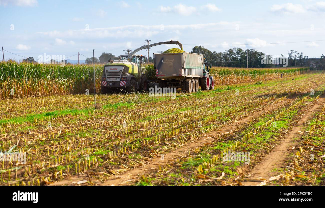 View harvesting process corn field hi-res stock photography and images ...