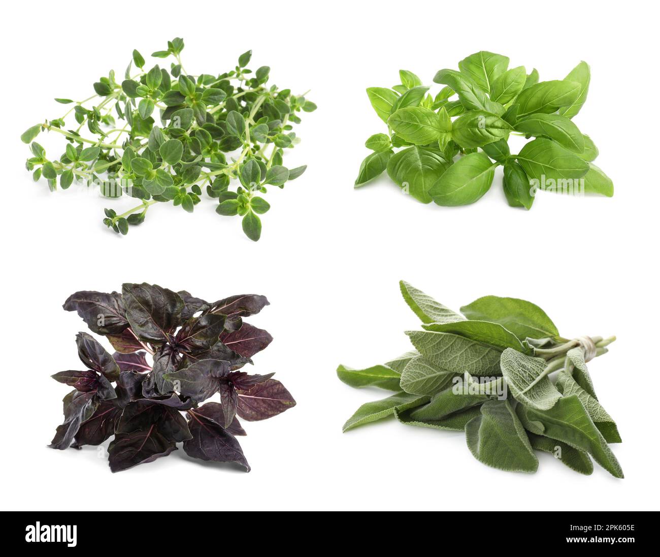 Set with different aromatic herbs on white background Stock Photo - Alamy