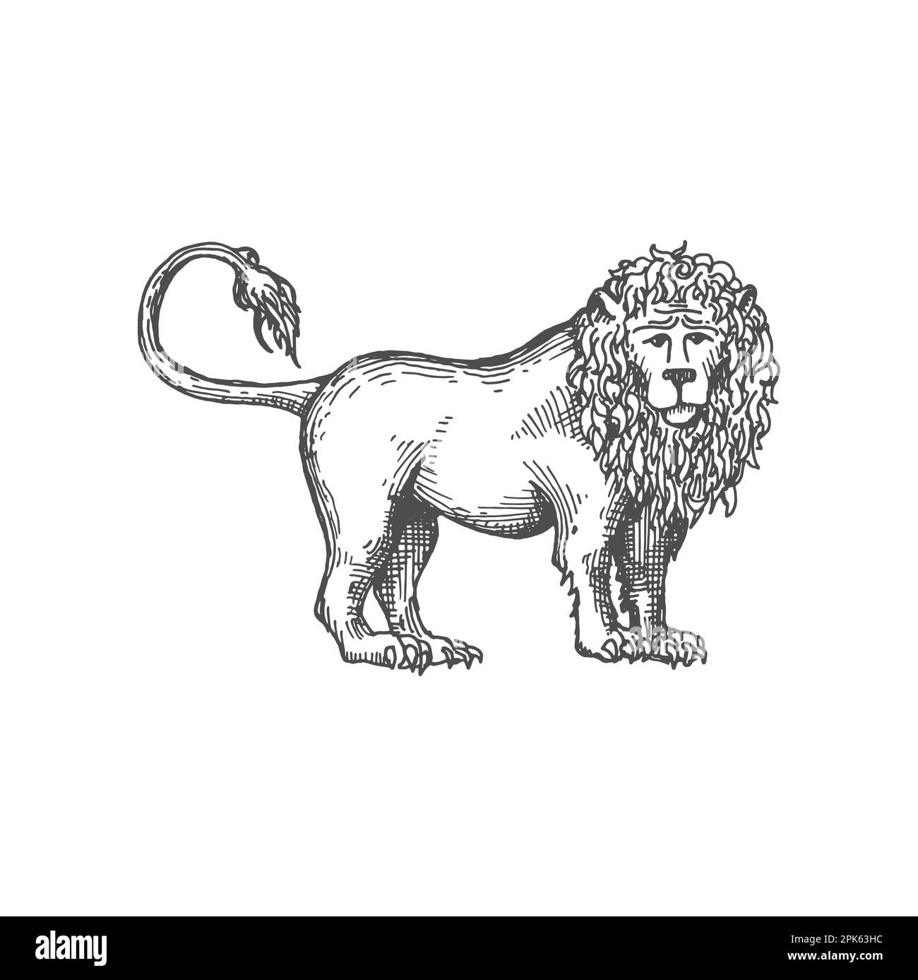 Royal heraldic lion sketch icon. Vector king of animals, symbol of ...
