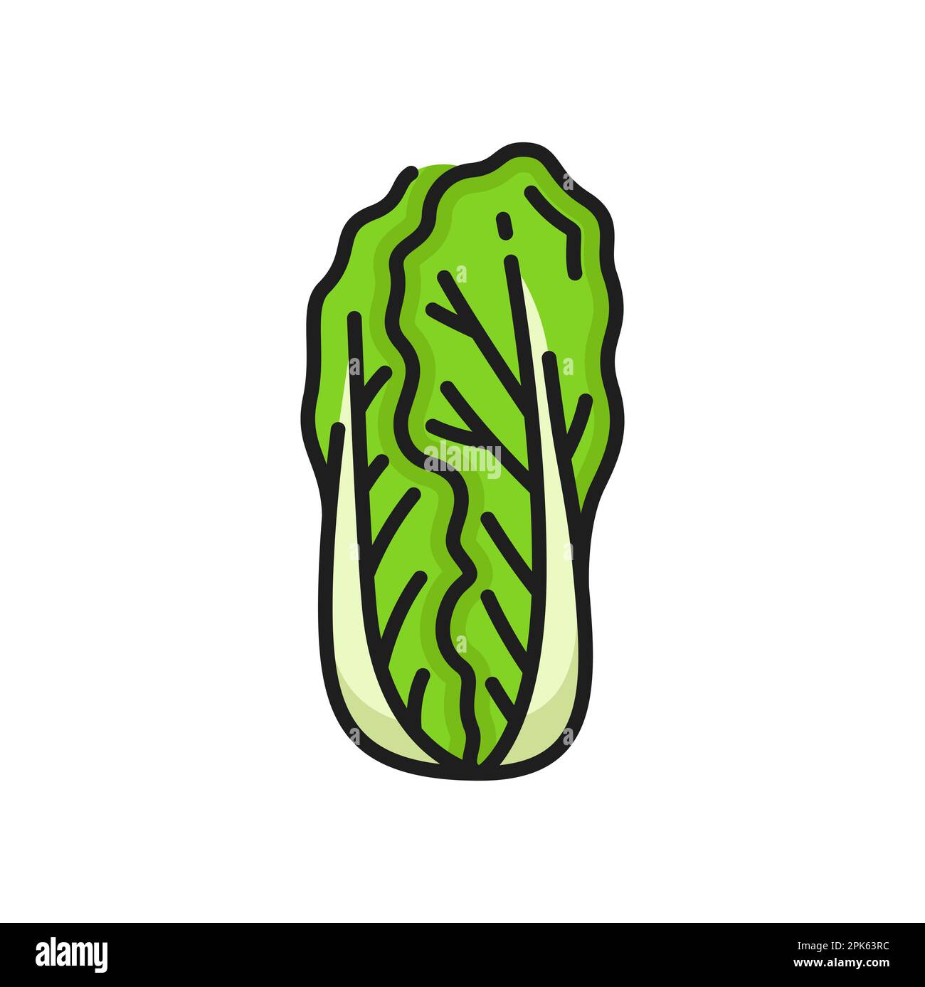 Petsai Stock Vector Images - Alamy