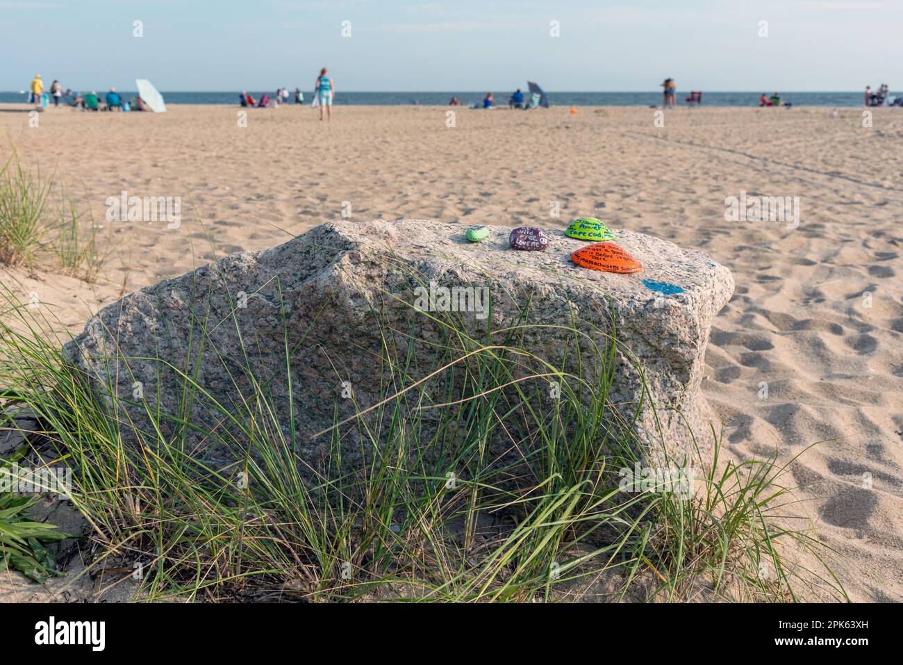Cape Cod Nature Stock Photo - Alamy