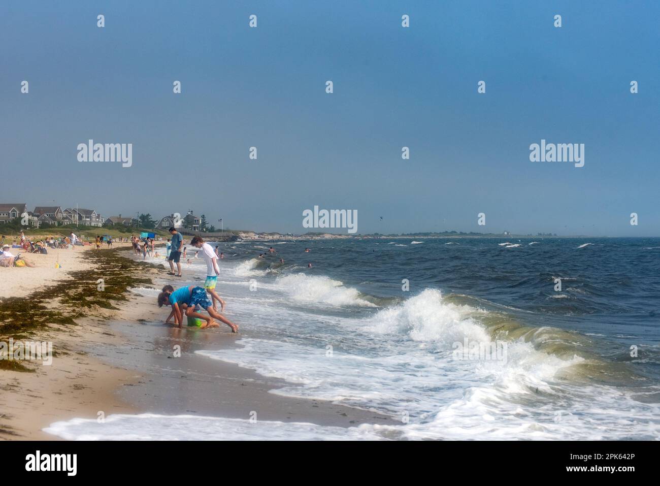 Cape Cod Nature Stock Photo - Alamy