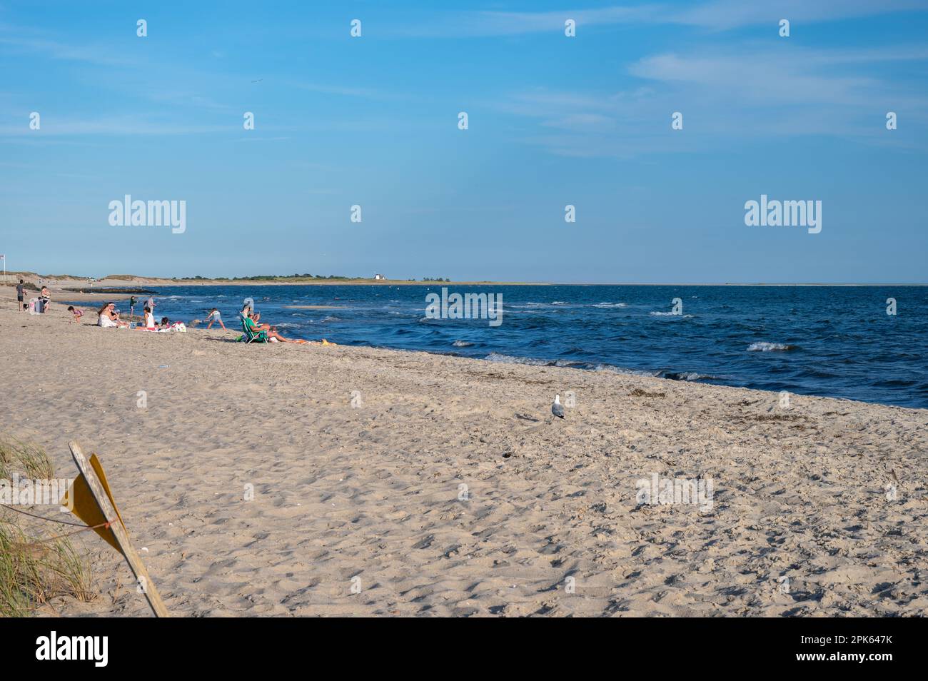 Cape Cod Nature Stock Photo - Alamy