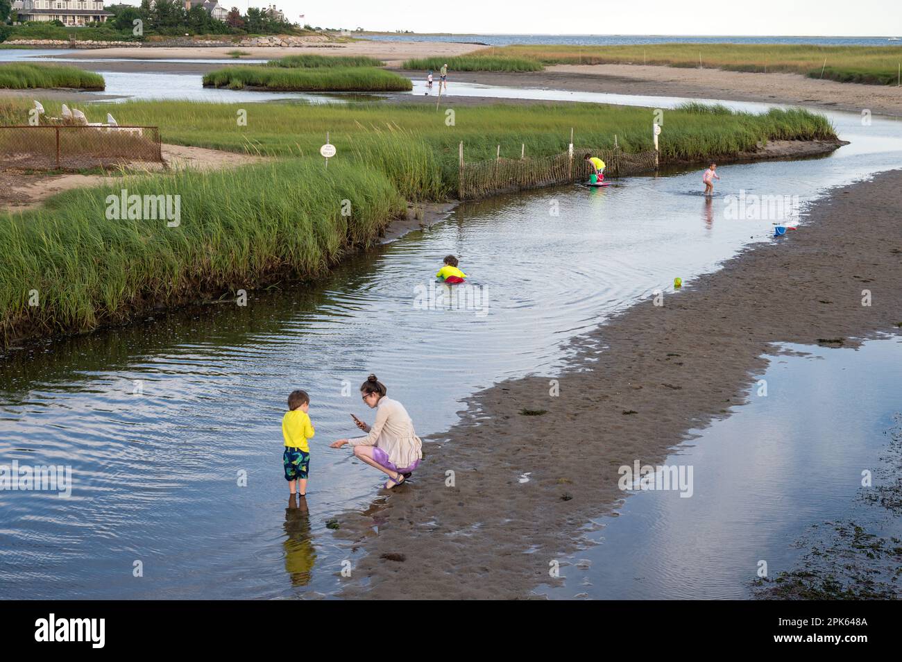Cape Cod Nature Stock Photo - Alamy