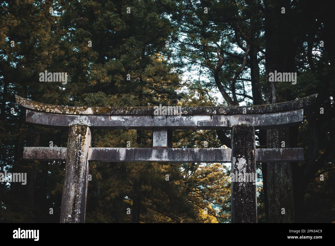 Torii gate, Japan Stock Photo - Alamy
