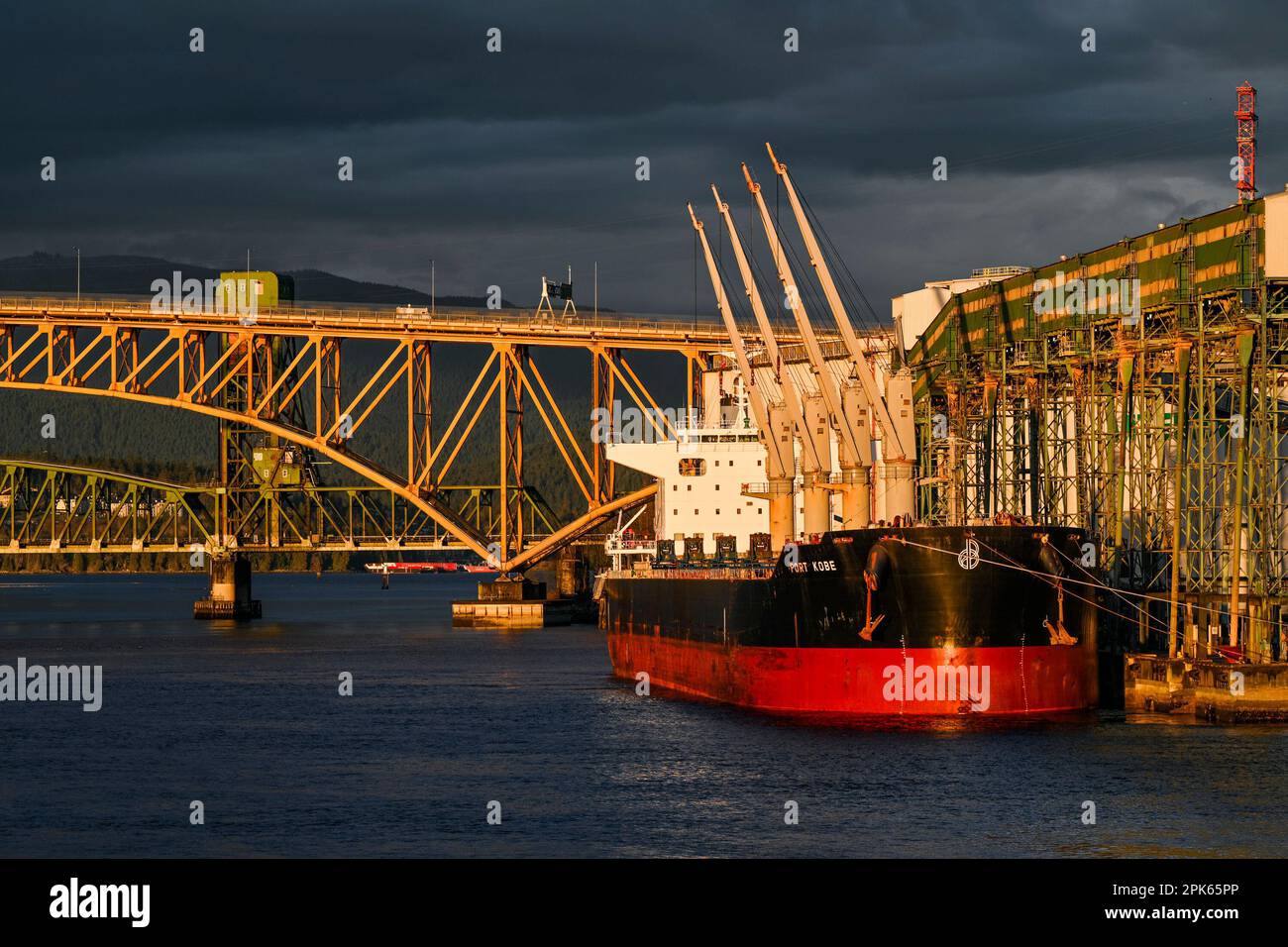 Bulk Carrier Ship, Port Kobe, at Viterra Cascadia Grain Terminal, Port ...