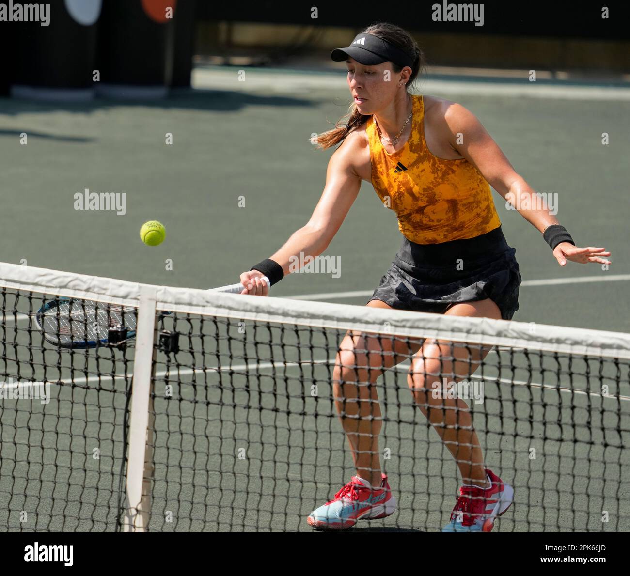 2023 0072 jpg hi-res stock photography and images - Alamy