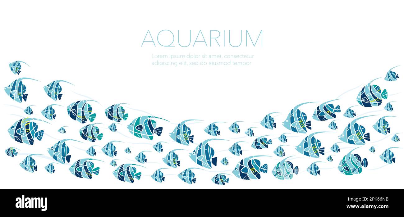 A School Of Fish Vector Background Illustration With Text Space ...