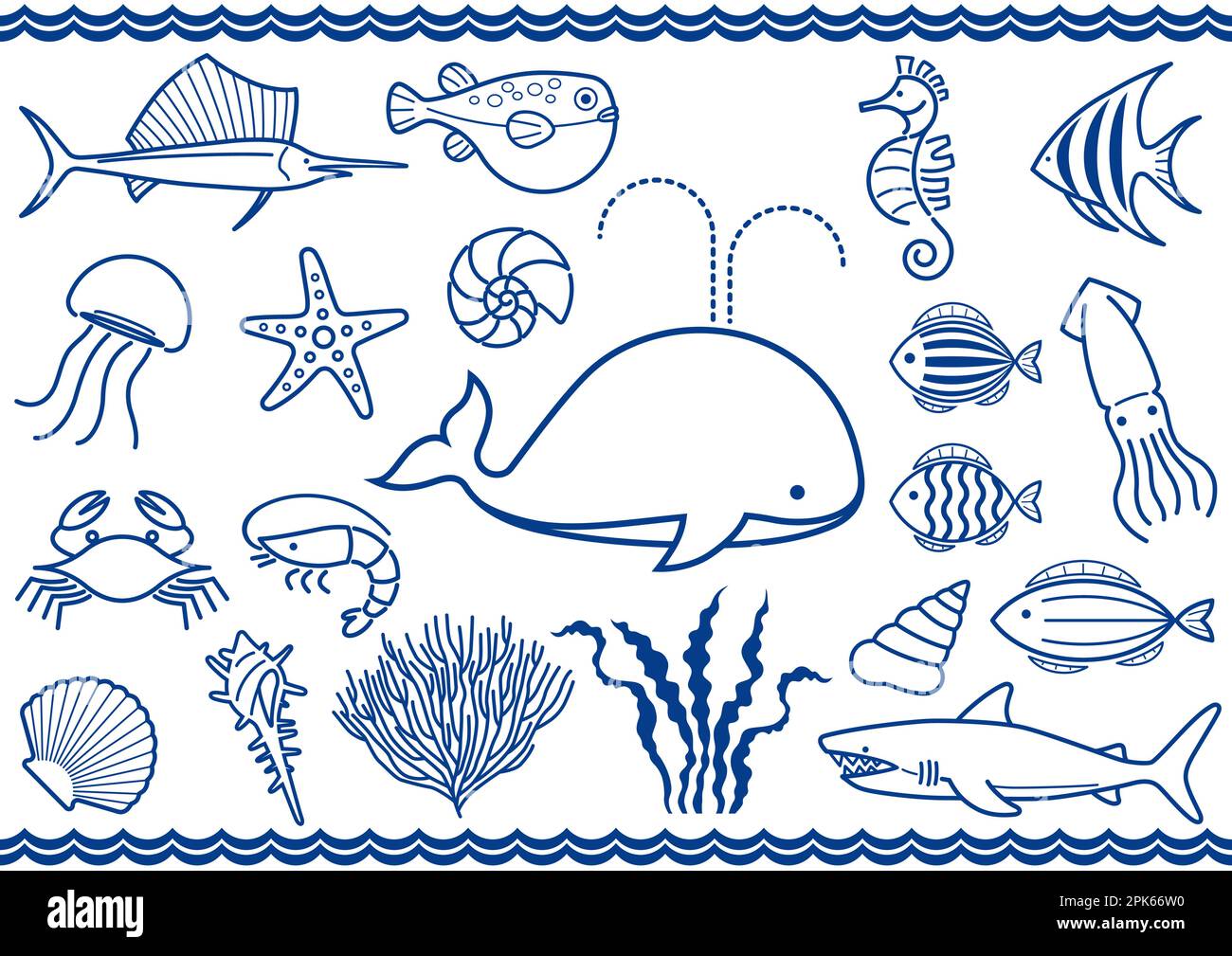 Vector Marine Life Illustration Set Isolated On A White Background ...