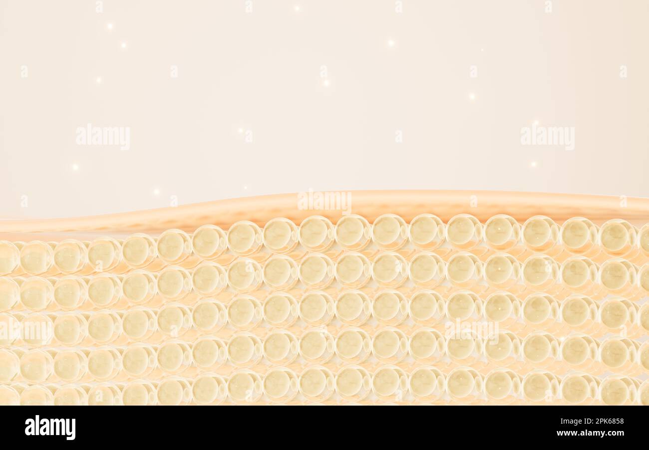 Skin structure layer , skin care and treatment, biology and medicine ...