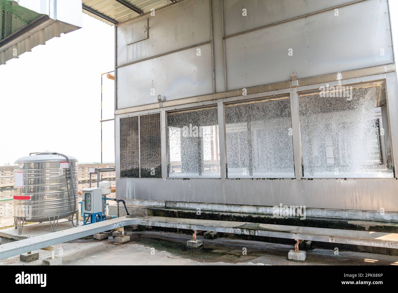 Chicken chilling hi-res stock photography and images - Alamy