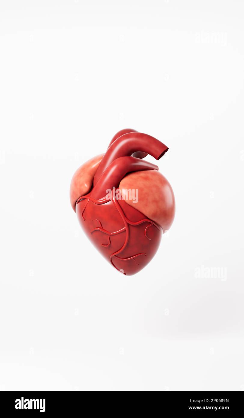 Heart model in the white background, 3d rendering. Digital drawing ...