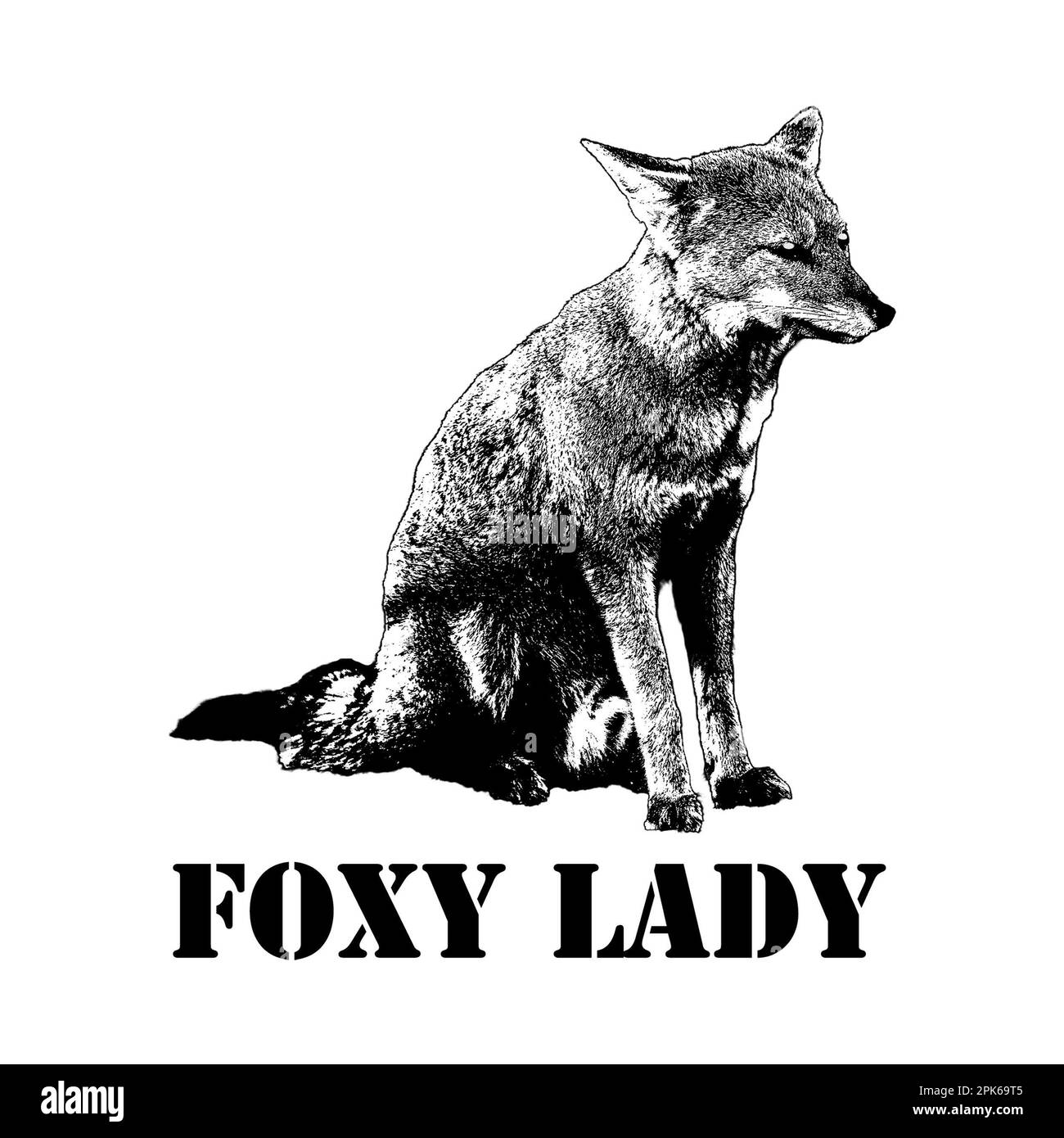 Fox sitting at ground with foxy lady text at bottom concept ...
