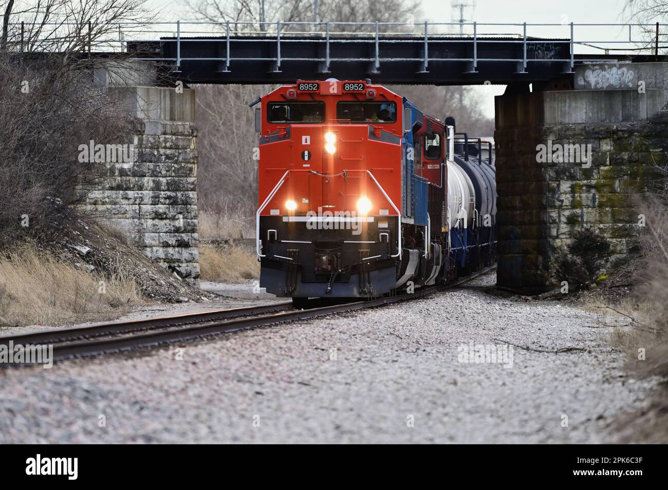 Wayne, Illinois, USA. A pair of locomotives power a Canadian National ...