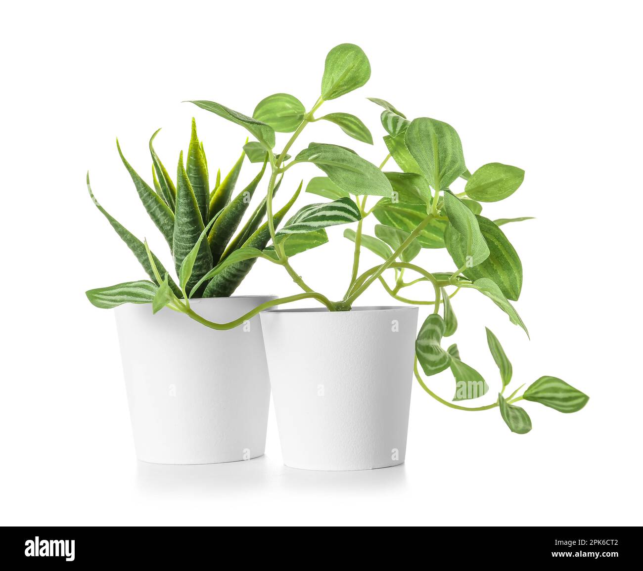 Artificial plants on white background Stock Photo - Alamy