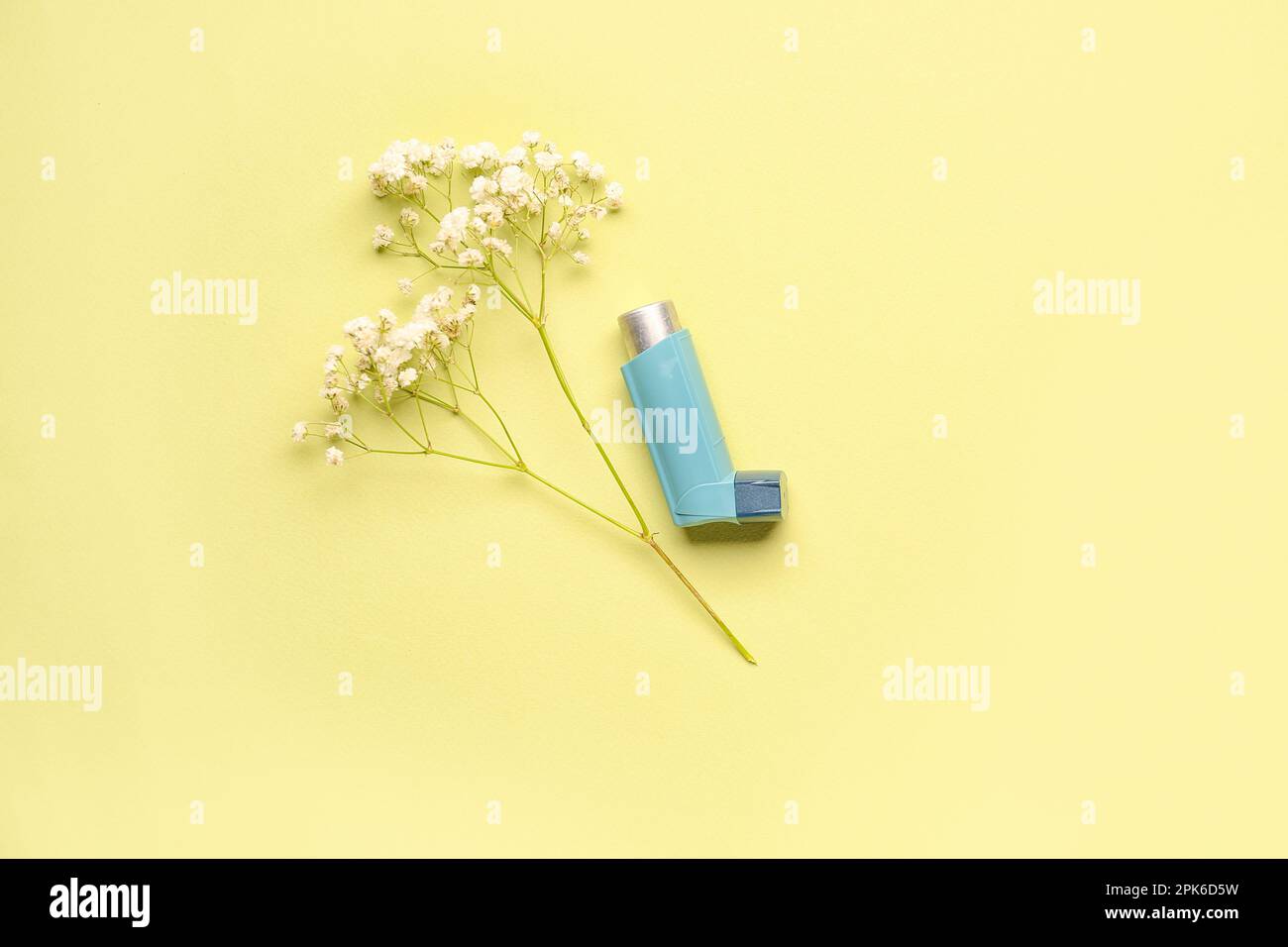 Asthma inhaler with flowers on green background Stock Photo - Alamy
