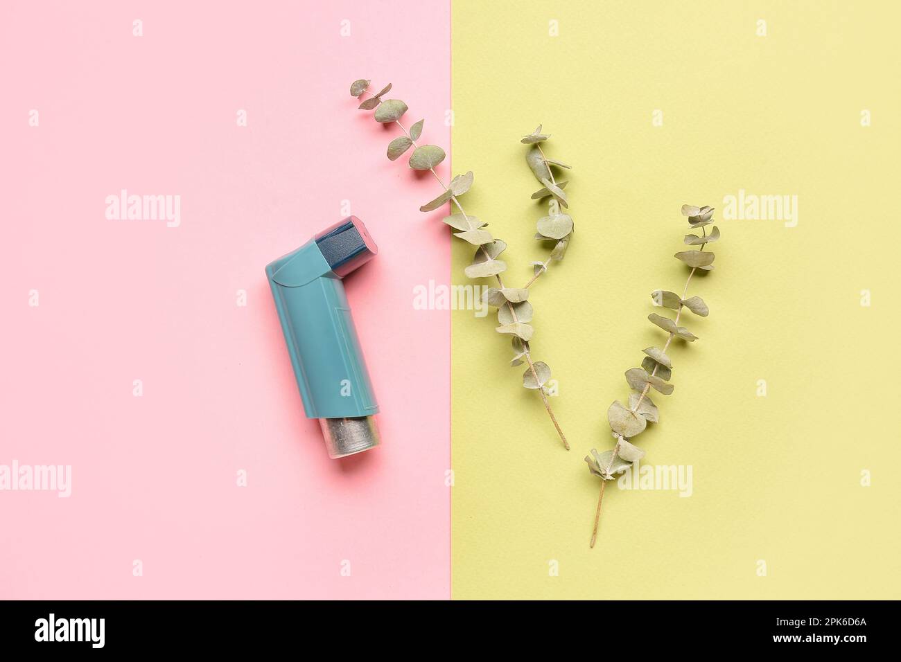 Asthma inhaler with eucalyptus branches on color background Stock Photo ...