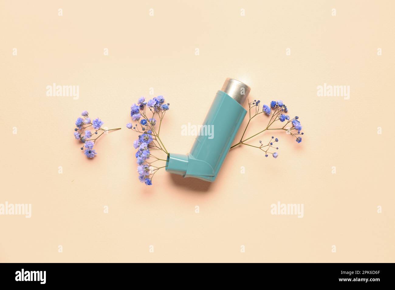 Asthma inhaler with gypsophila flowers on beige background Stock Photo ...
