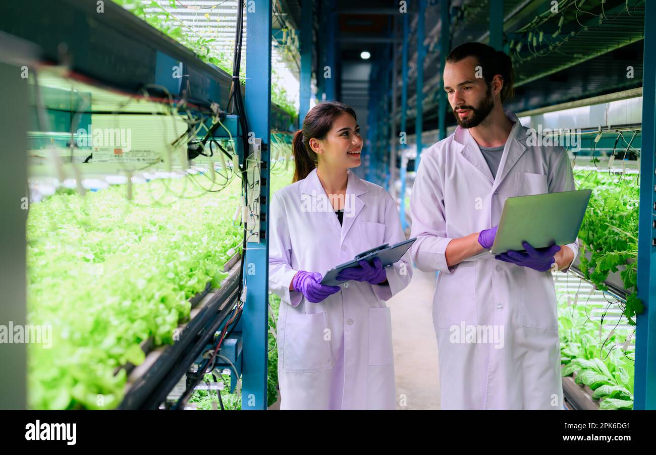 Researchers developing vegetable varieties at greenhouse agriculture ...