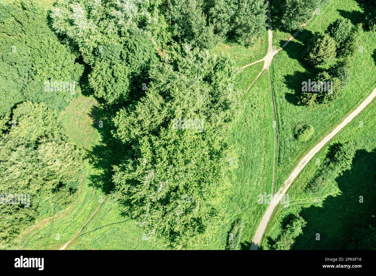 aerial top view of green park trees, lawn and walking path in summer ...