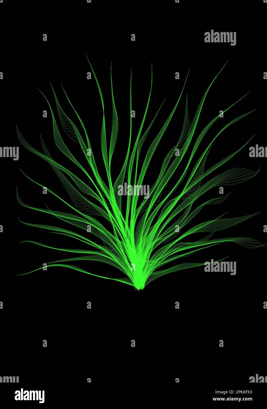 green grass illustration from wavy lines on black background Stock ...