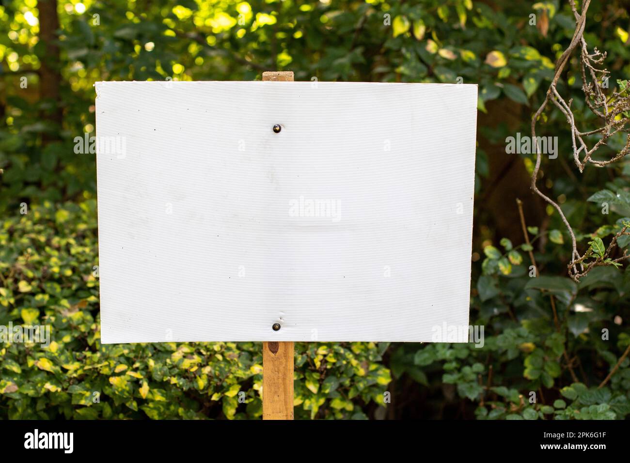 Insert own message hi-res stock photography and images - Alamy