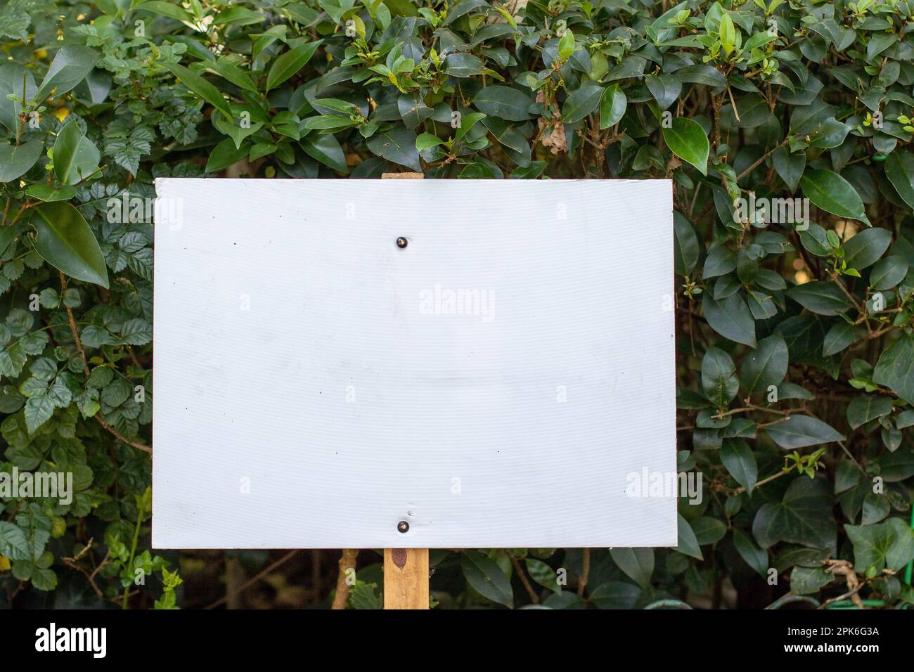 Blank sign to insert your own text Stock Photo - Alamy
