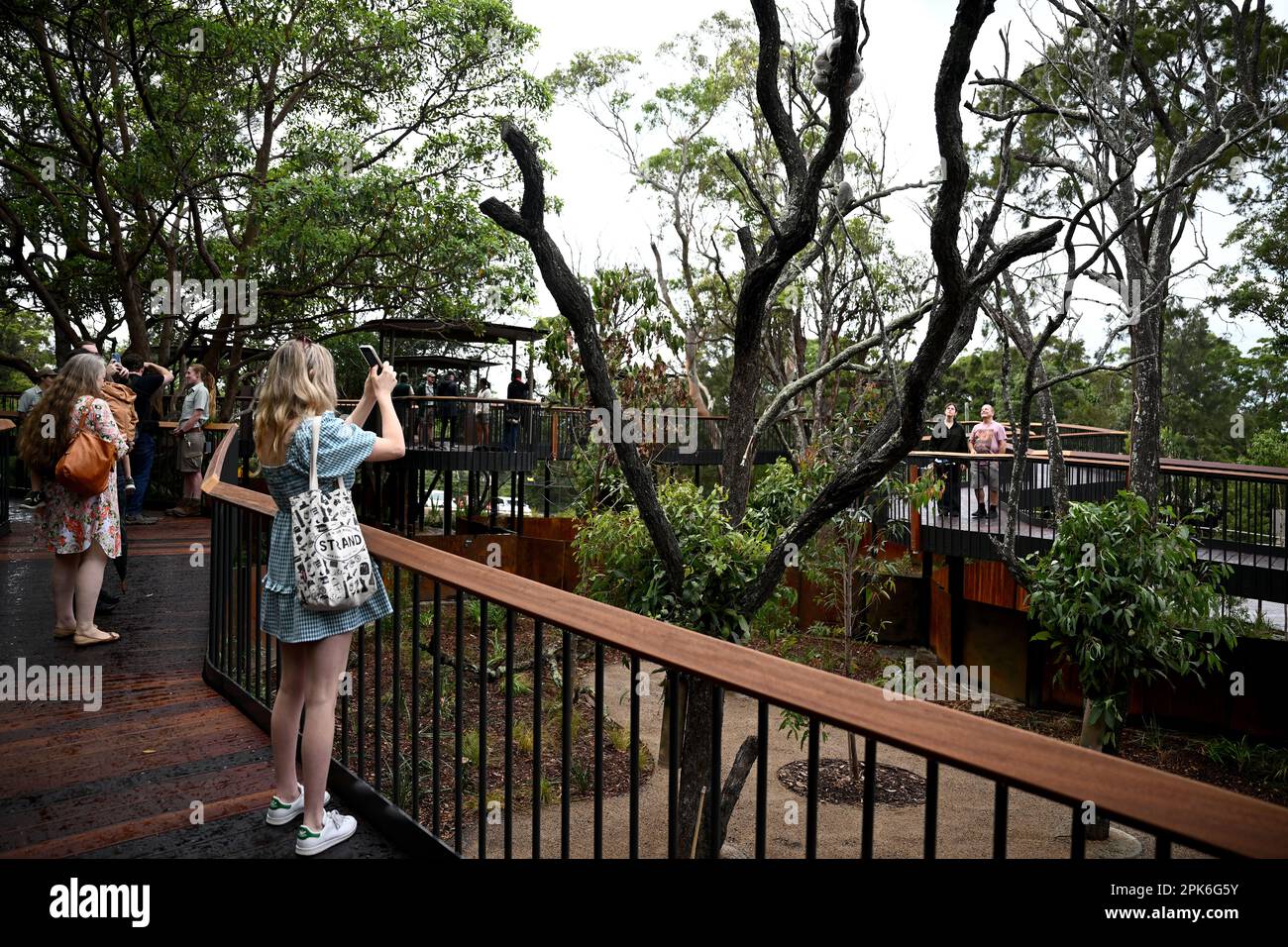 Visitors take in the new koala exhibit during the opening of the new ...