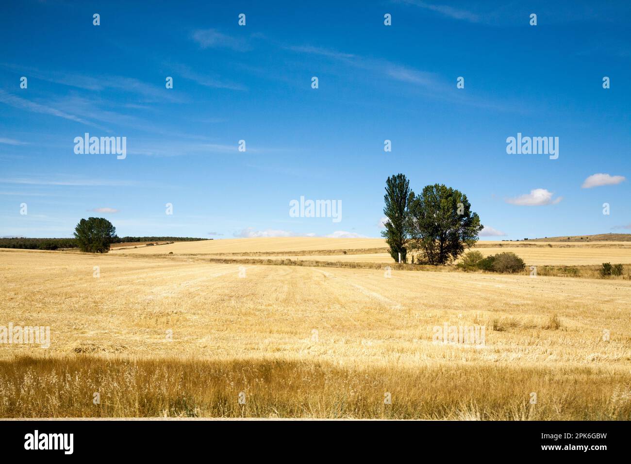 Castile leon region rural hi-res stock photography and images - Alamy