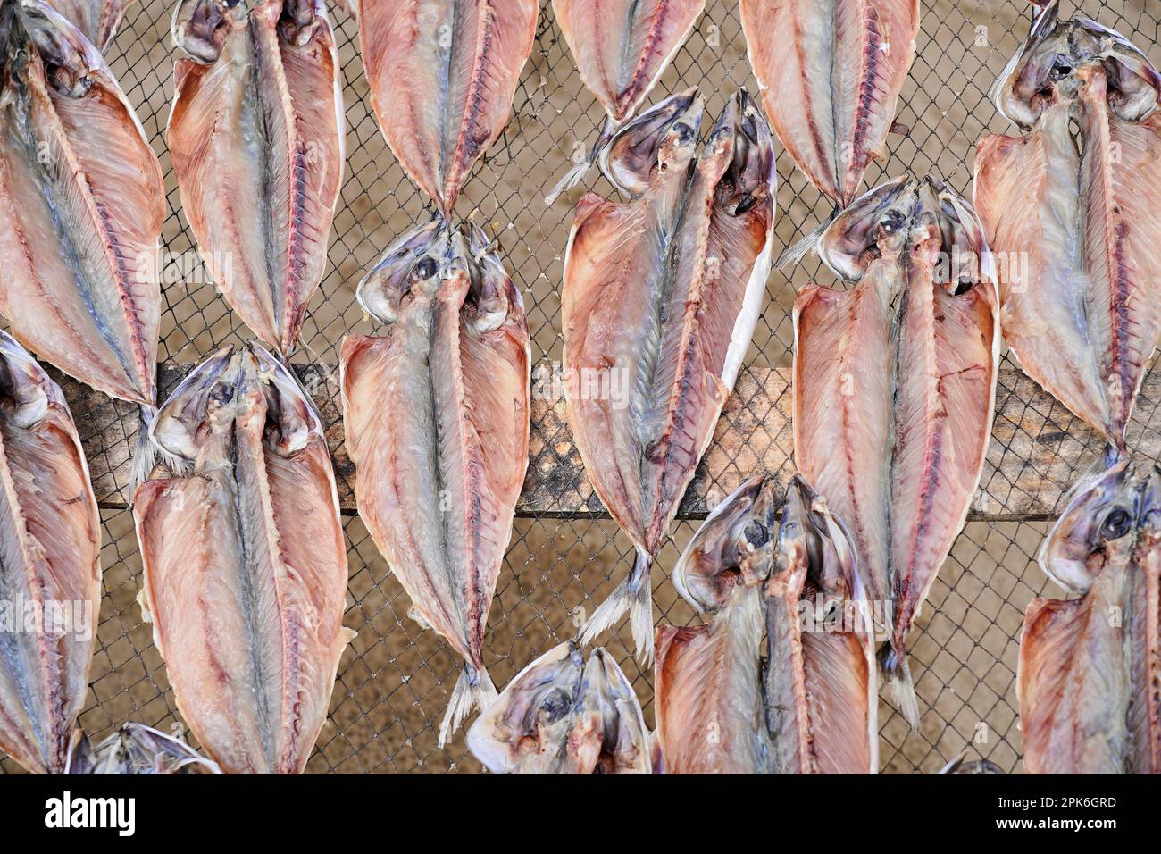 Fish drying, Praia da Nazare beach, Nazare, Oeste, Leiria district ...