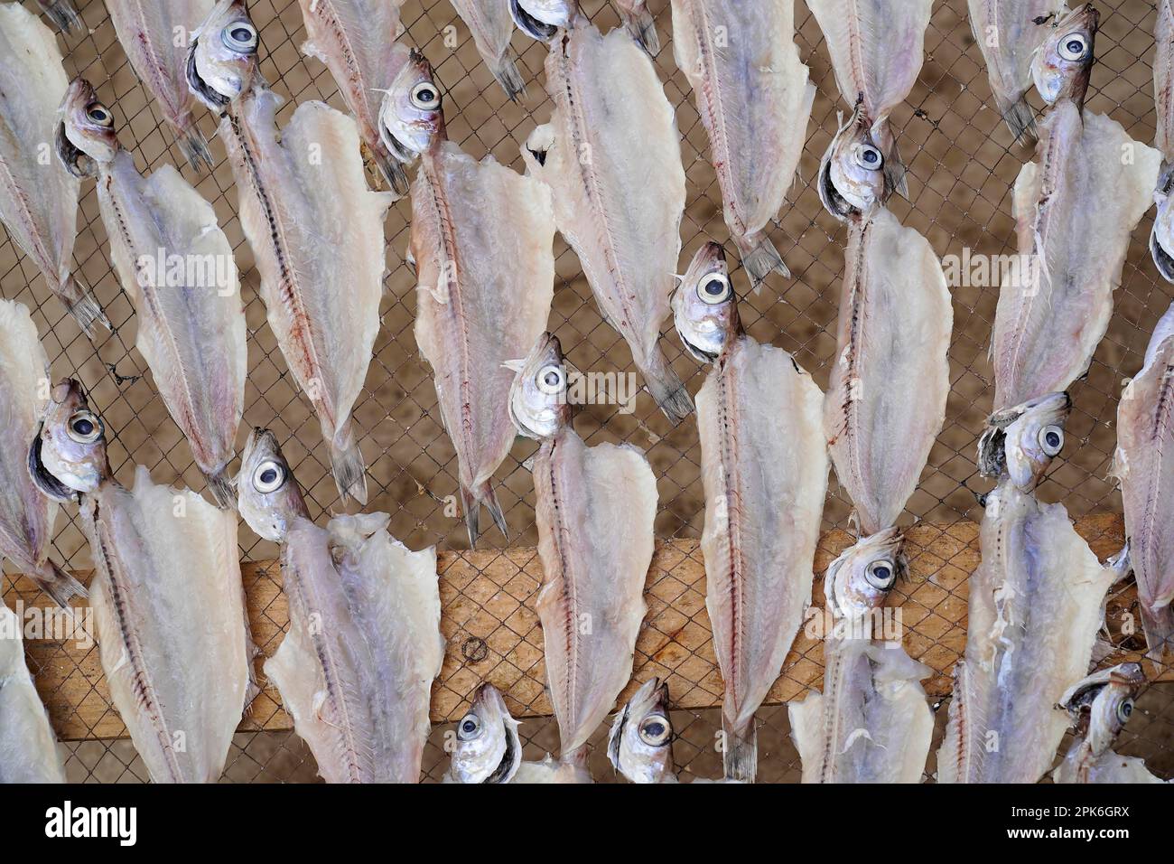 Fish drying, Praia da Nazare beach, Nazare, Oeste, Leiria district ...