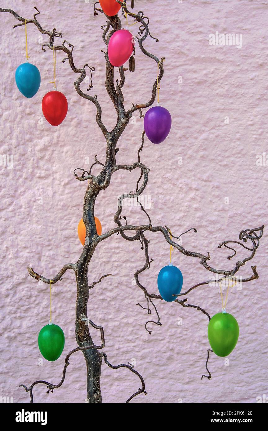 Easter eggs in front of pink house wall, Munich, Bavaria, Germany Stock ...