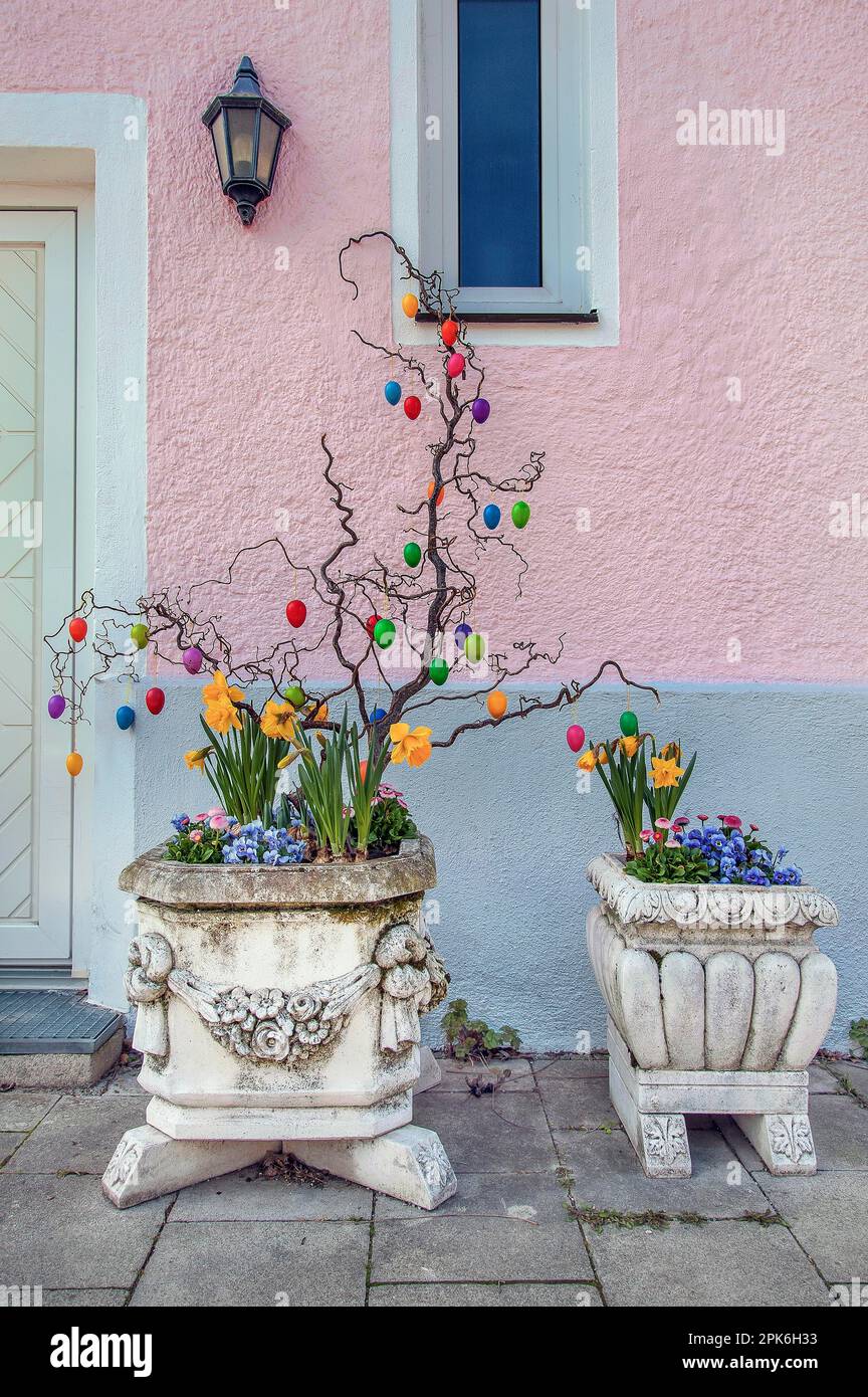 Easter eggs and spring flowers in front of pink house wall, Munich ...