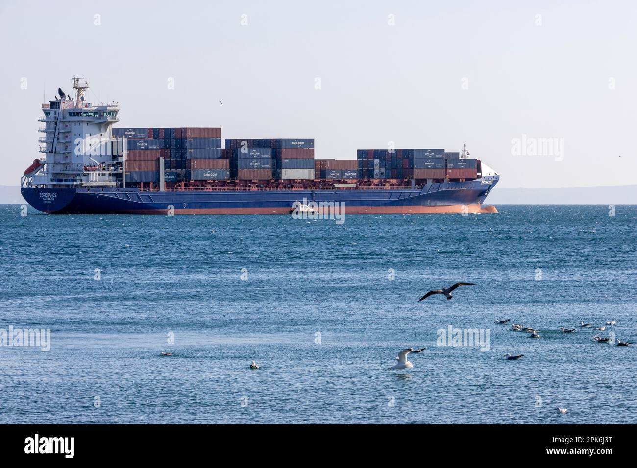 Blue and white container ship at sea with stacked containers and ...