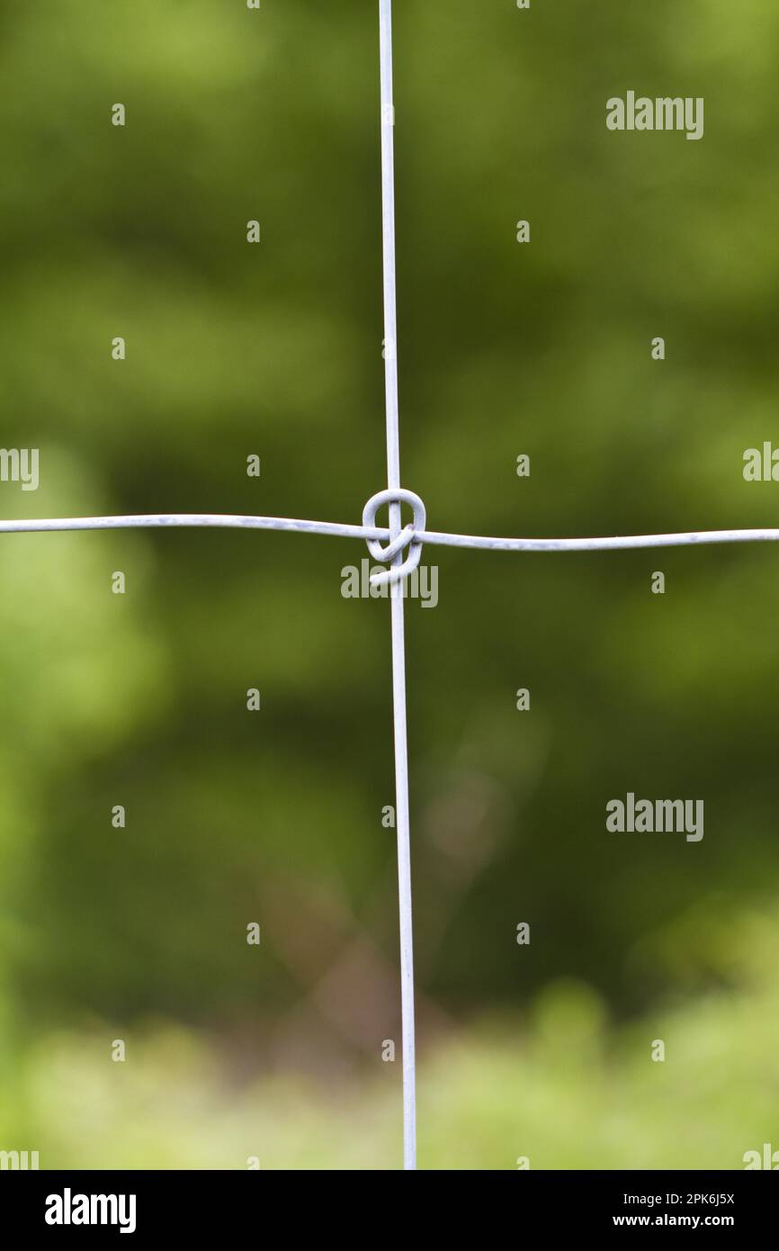 Wire fence, Wire, Crossing Stock Photo - Alamy