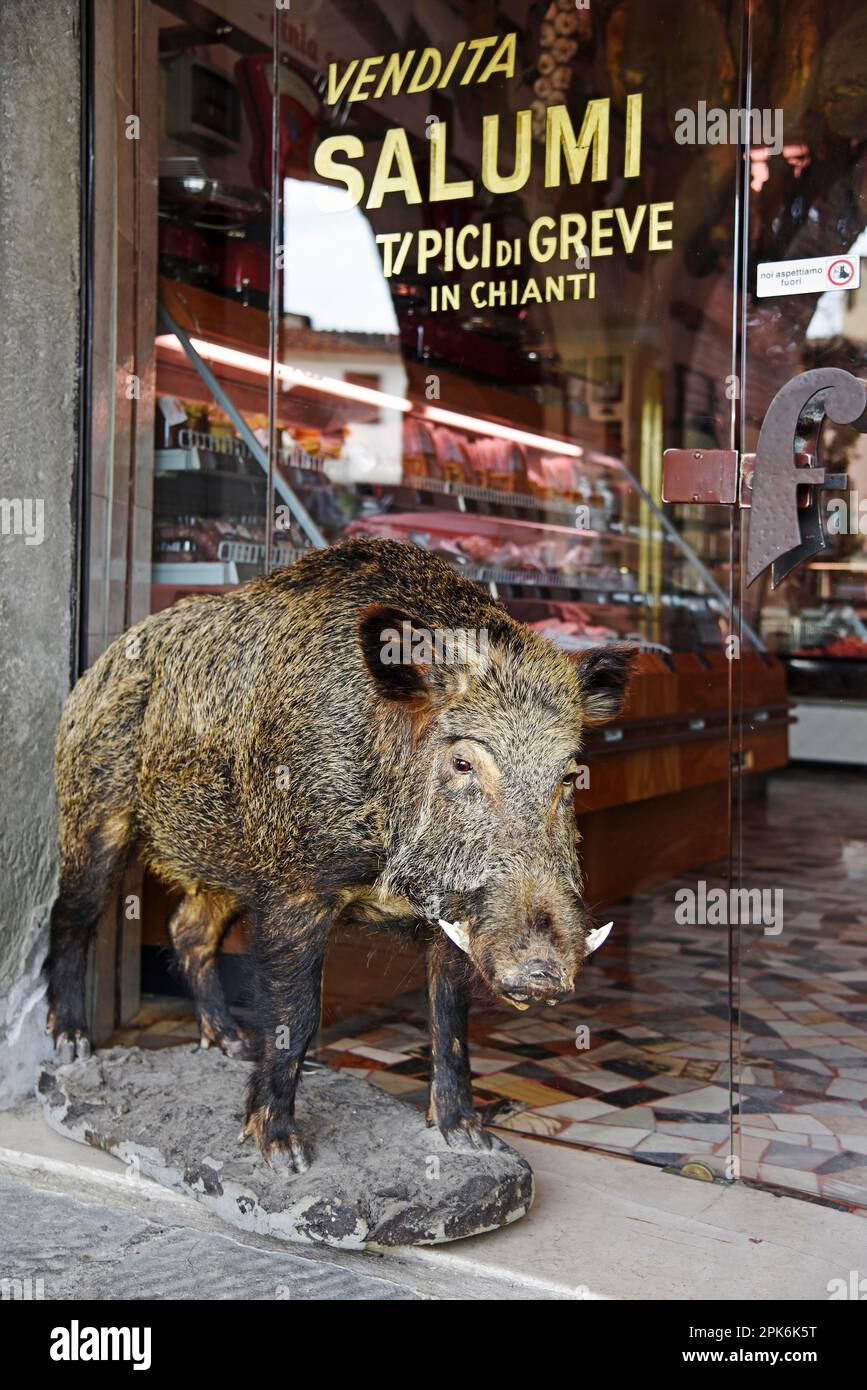 Wild boar, ham, cured meats, sausage, specialities, delicatessen ...