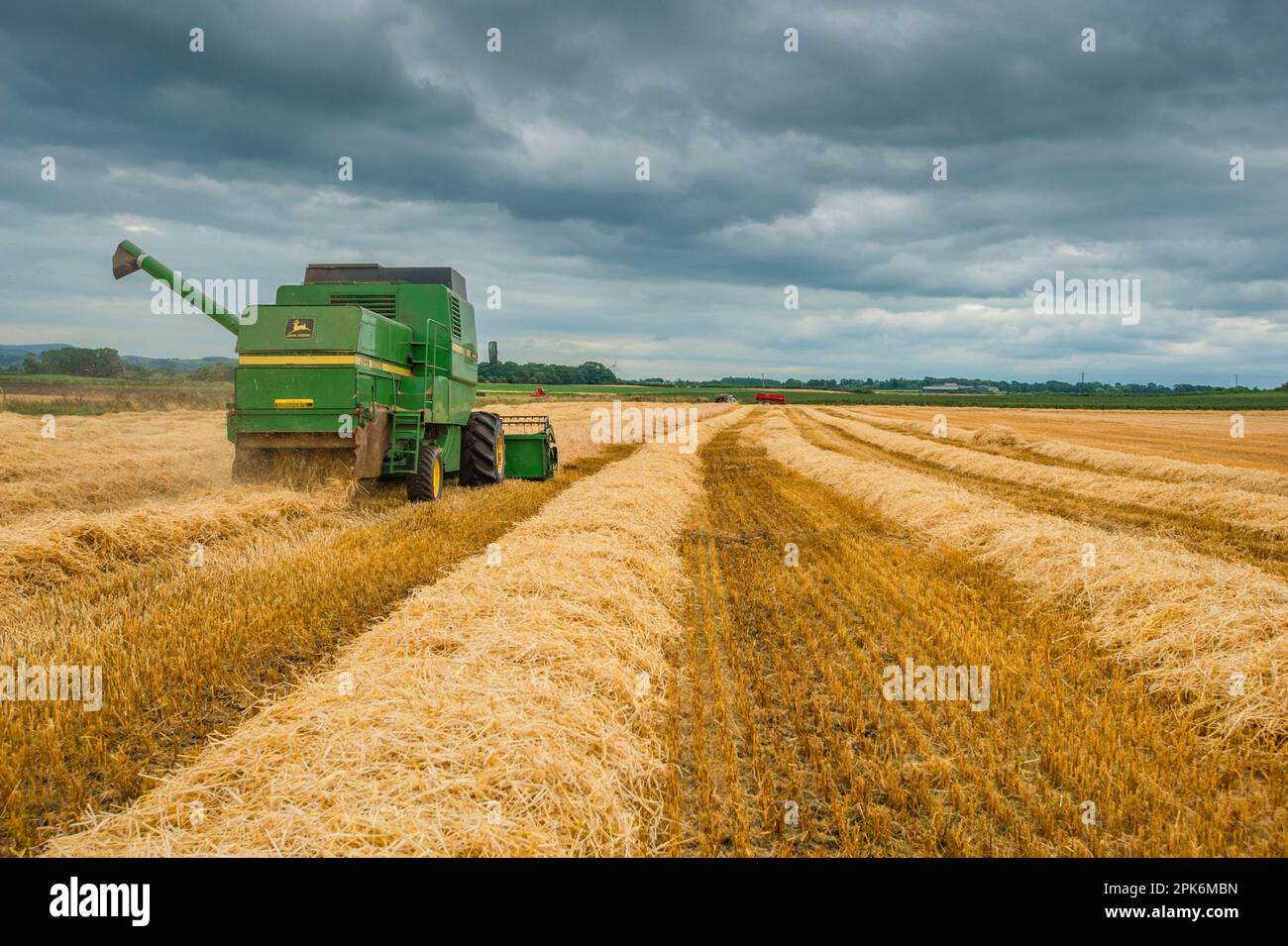 Barley (Hordeum vulgare) crop, John Deere combine harvester finishing ...