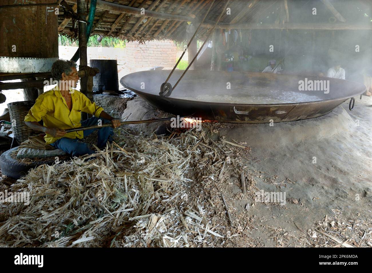 Sugarcane harvest india hi-res stock photography and images - Alamy