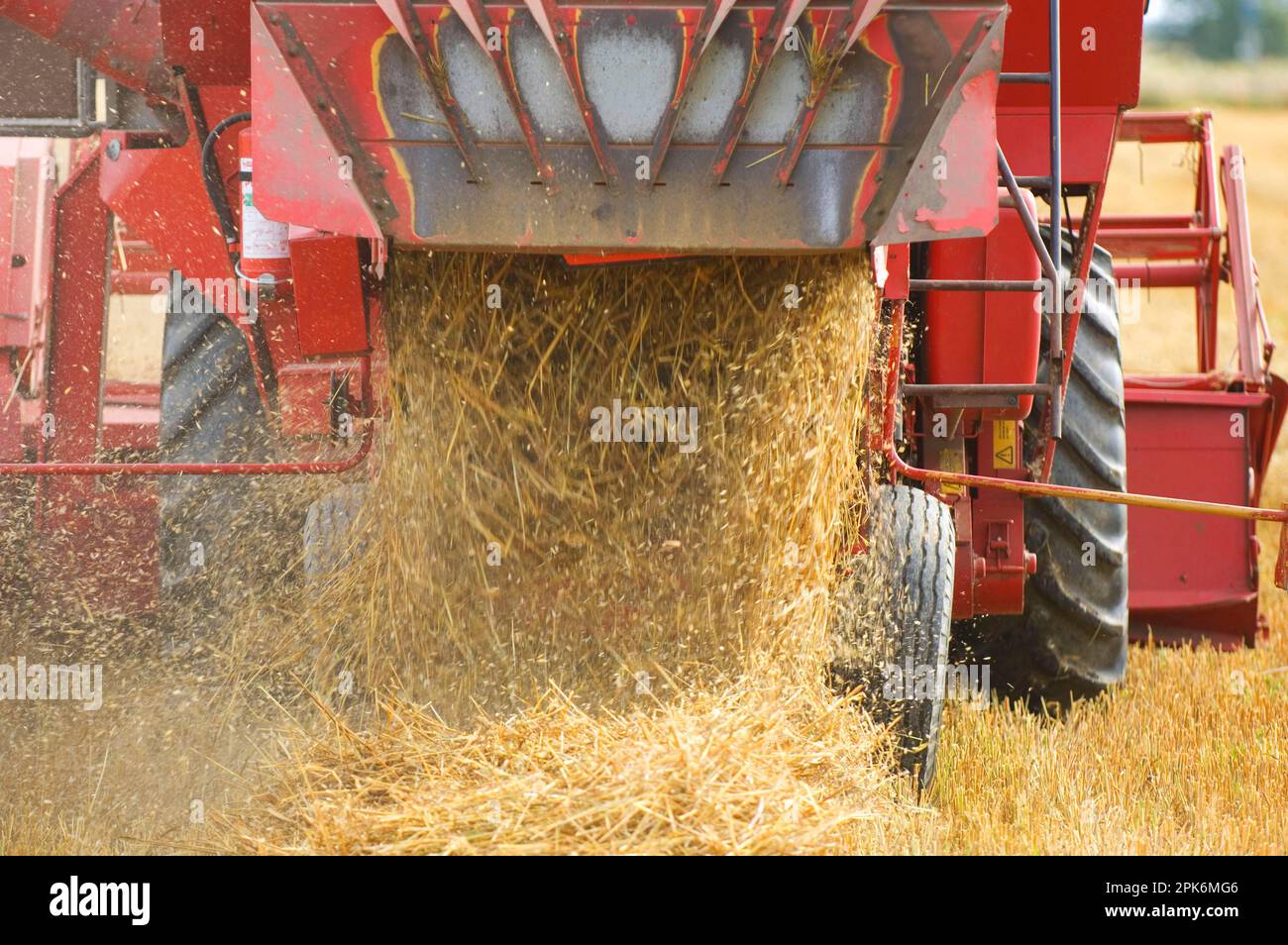 Common oat (Avena sativa), harvest field, close-up of a combine ...