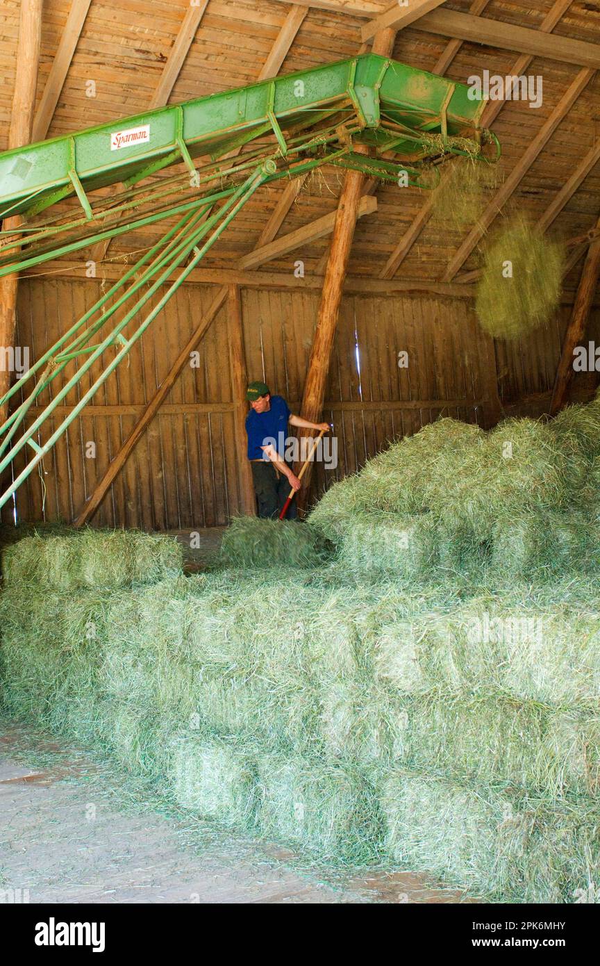 Hay bale lift hi-res stock photography and images - Alamy