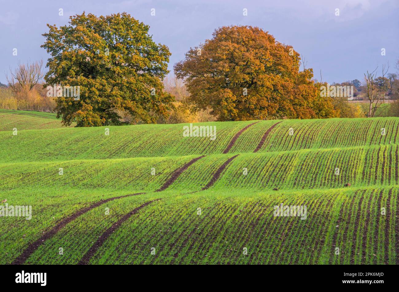 Undulating field hi-res stock photography and images - Alamy