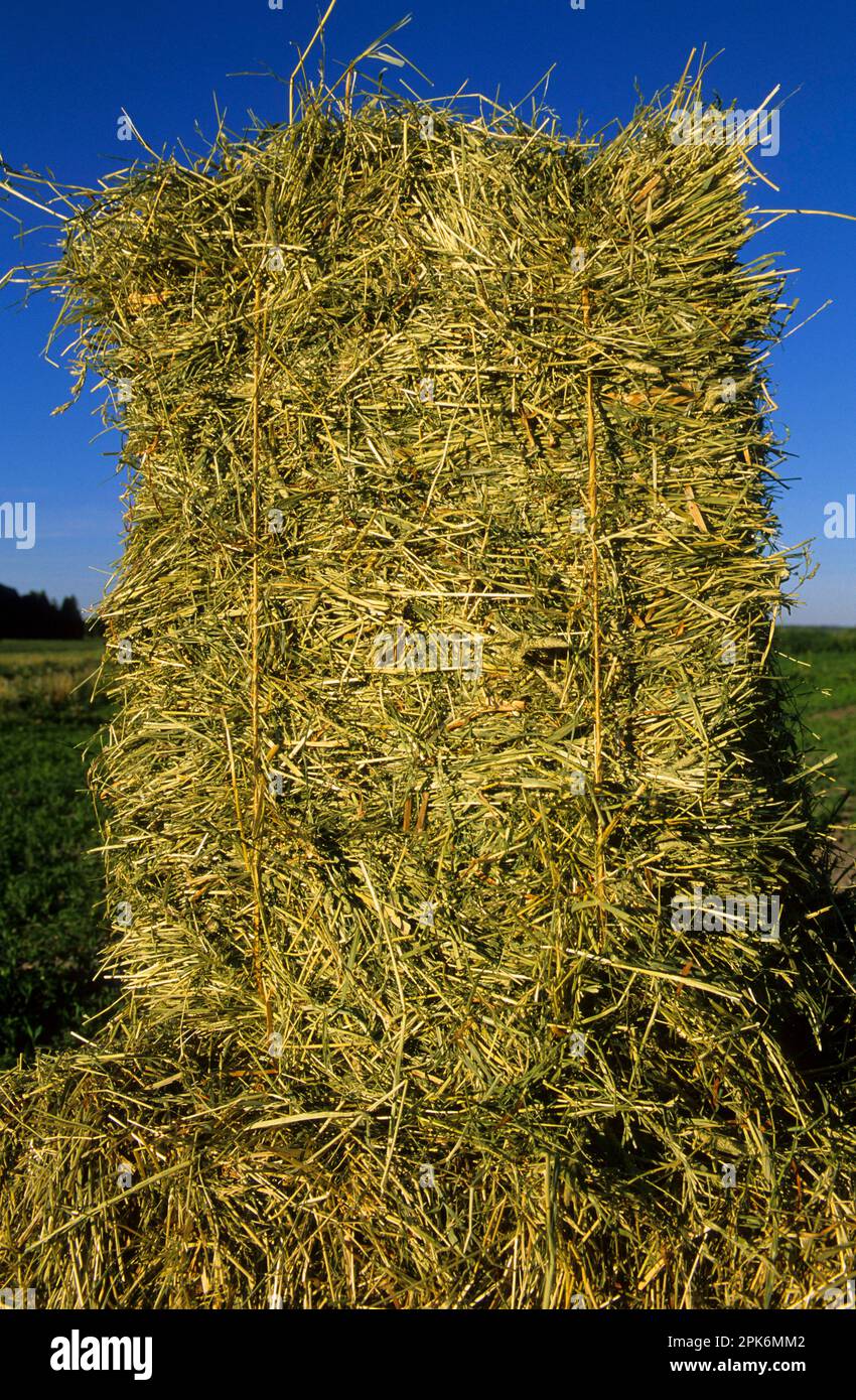 Close up straw bale hi-res stock photography and images - Alamy