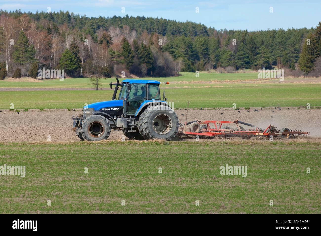 New Holland TM165 tractor with harrows, harrow field seedbed, Sweden ...