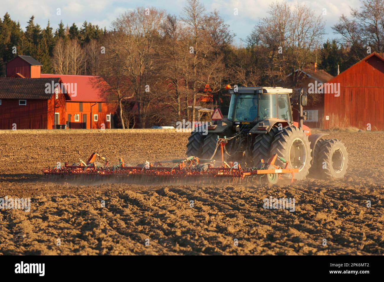 Massey Fergusson 6290 tractor with harrows, harrow field seedbed ...