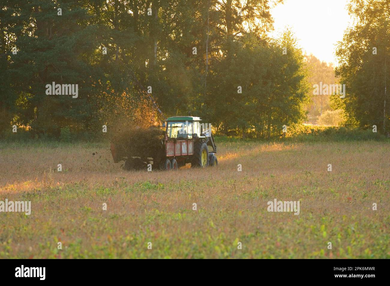John Deere tractor pulling manure spreader, spreading manure in the ...