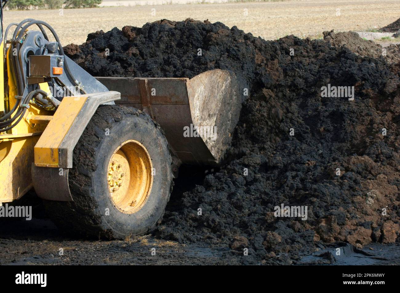 Volvo L50 D wheel loader, loading manure into the bucket to load the ...