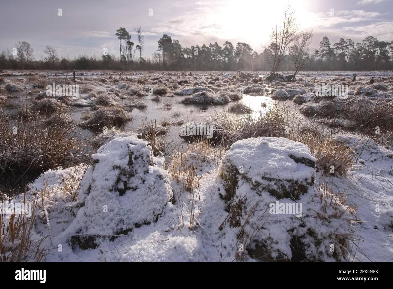 The onset of winter and snow on the moor. Tister Bauernmoor, a raised ...